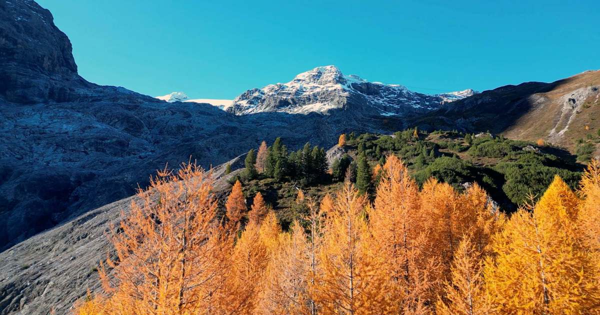 Tyrol du Sud - Portail de voyage pour les vacances et les hôtels dans ...